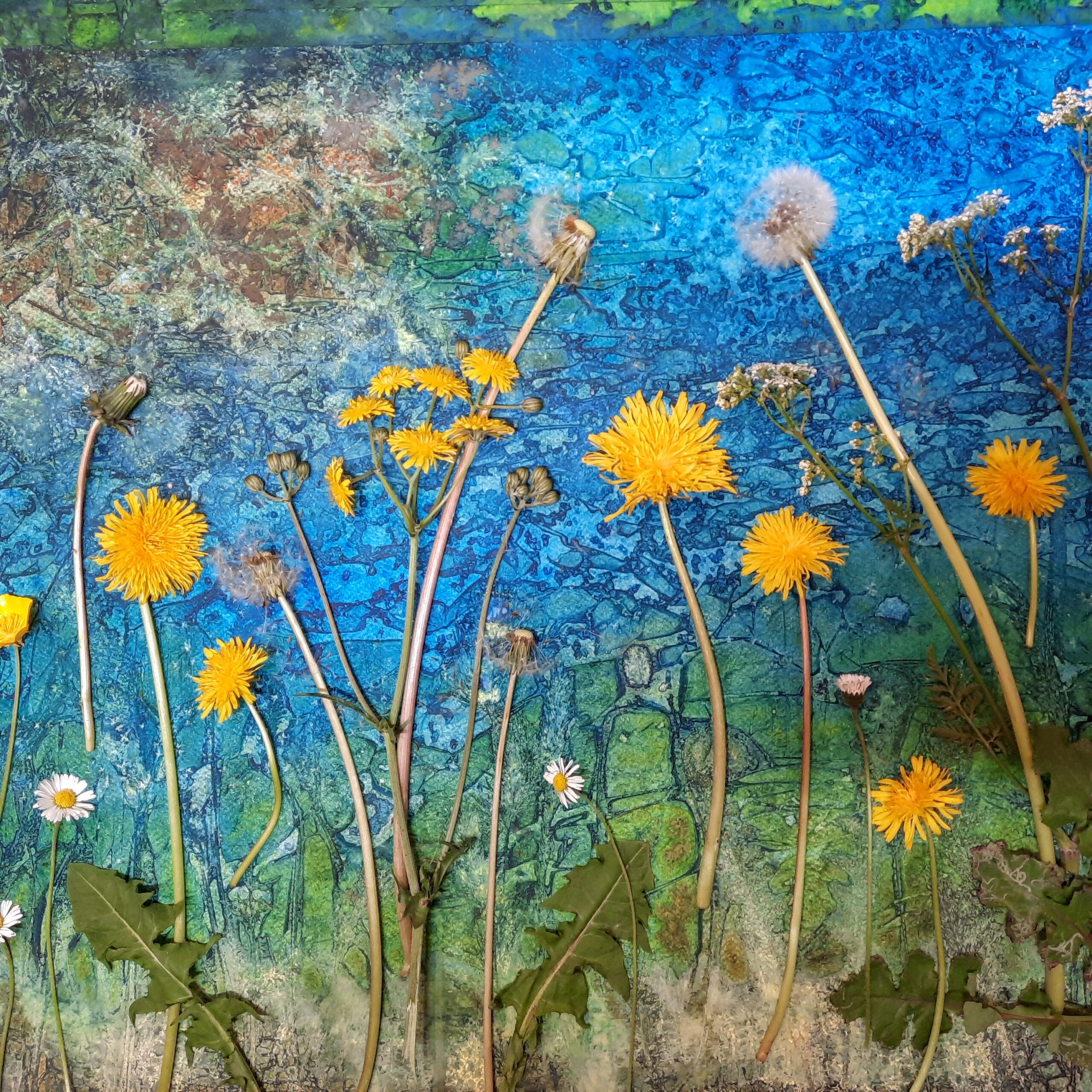BS5 Art Trail 2026